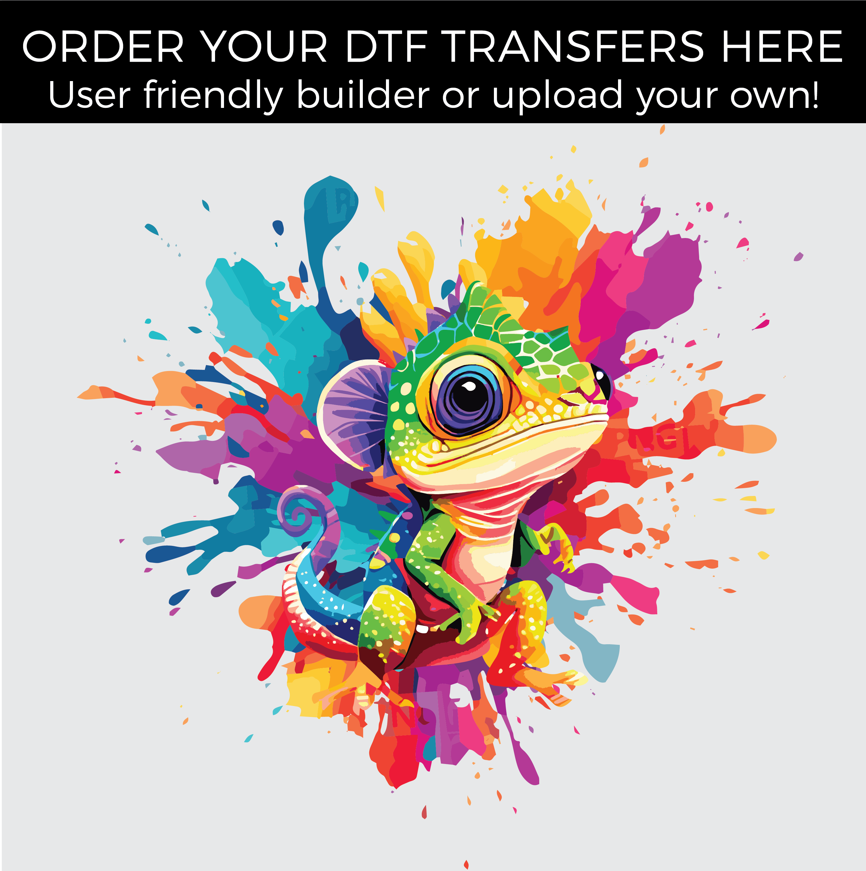 Chameleon Services – ChameleonUSA
